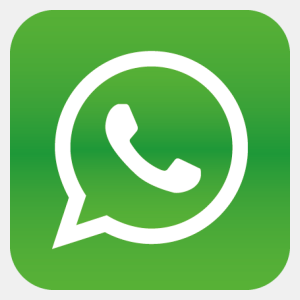 Sticker - WhatsApp logo full-color - Social-media | Stickers JL-Design ...